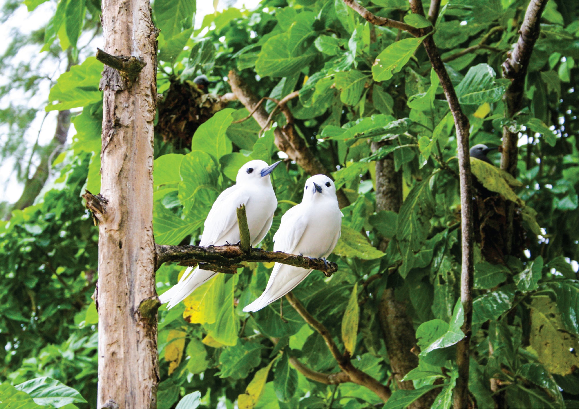 About – Urban Organics SA