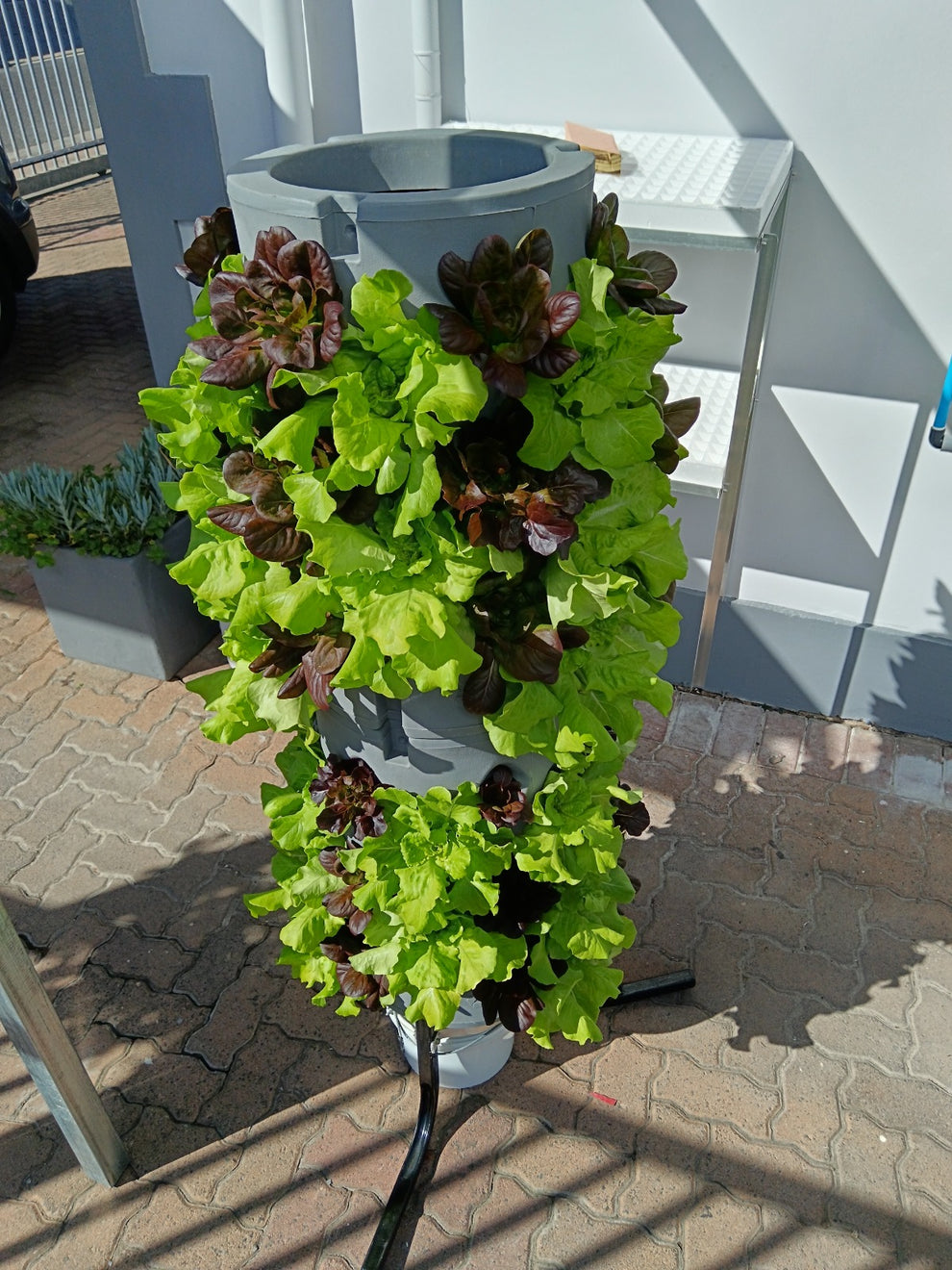GROW TOWER – Urban Organics SA
